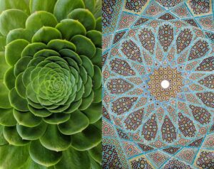 Arabesque: The Timeless Dance of Geometry, Nature, and Human Perception ...